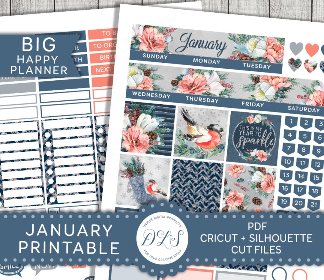 Big Happy Planner January Stickers Kit, Big Happy Planner Stickers ...