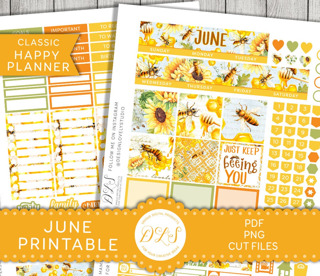 Happy Planner JUNE Monthly Kit, Printable June Monthly Stickers Kit ...