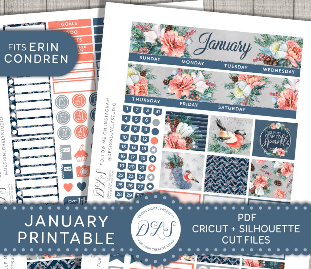 JANUARY Planner Stickers Kit, January Monthly Planner Kit, Printable ...