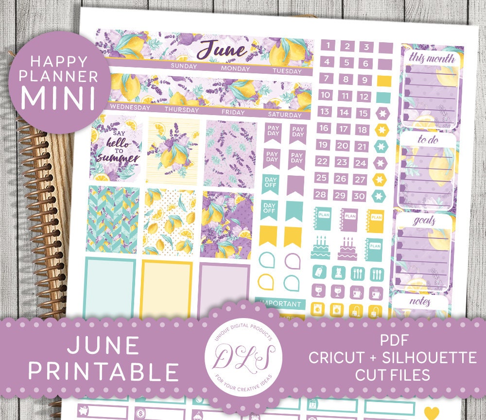 June Mini Happy Planner Stickers, June Monthly Kit, Mini Happy Planner ...