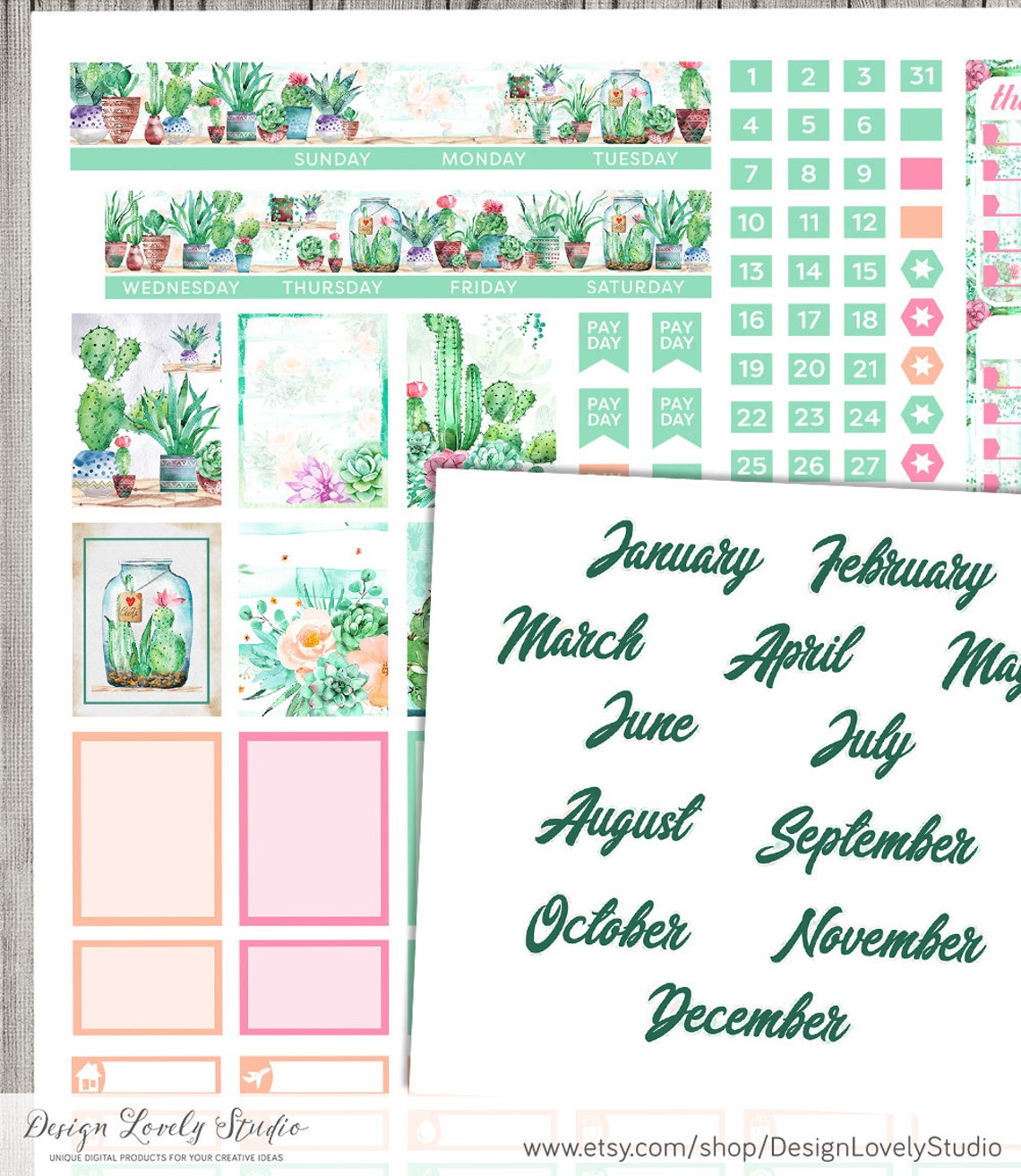 PRINTABLE Monthly Planner Stickers Cactus Planner Stickers - Etsy