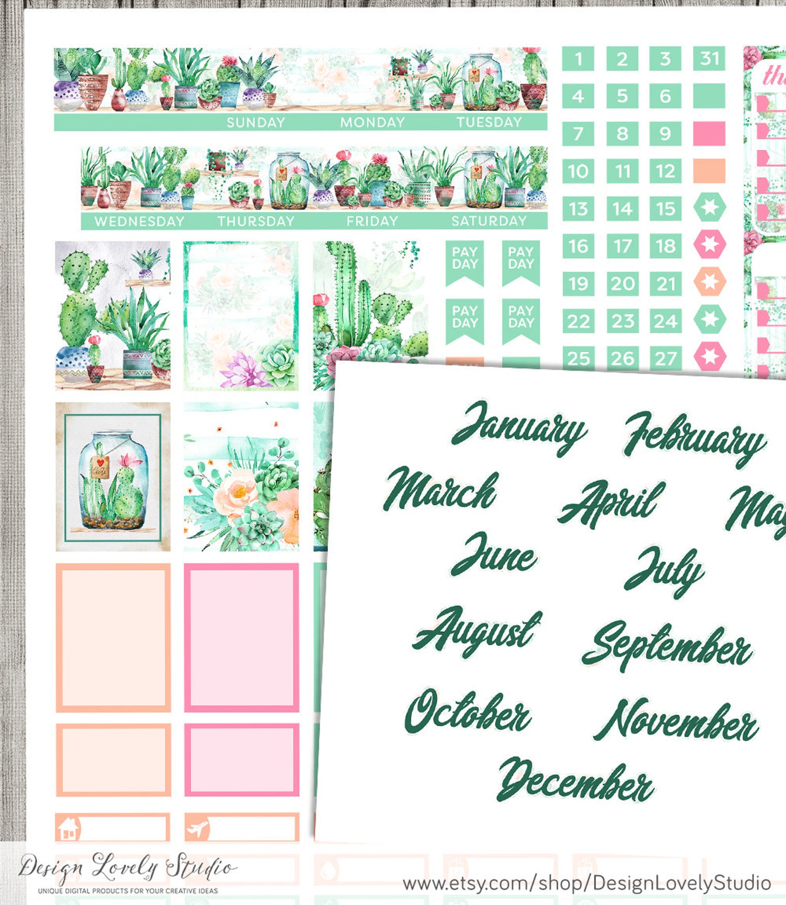 PRINTABLE Monthly Planner Stickers Cactus Planner Stickers - Etsy