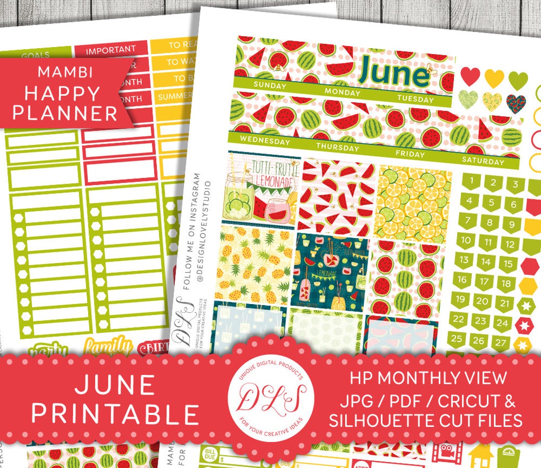 Happy Planner June Stickers, June Planner Kit, June Happy Planner, June ...