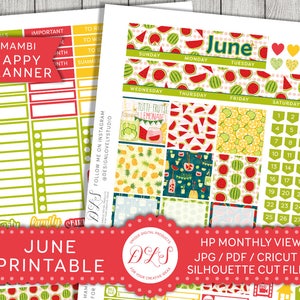 Happy Planner June Stickers, June Planner Kit, June Happy Planner, June ...