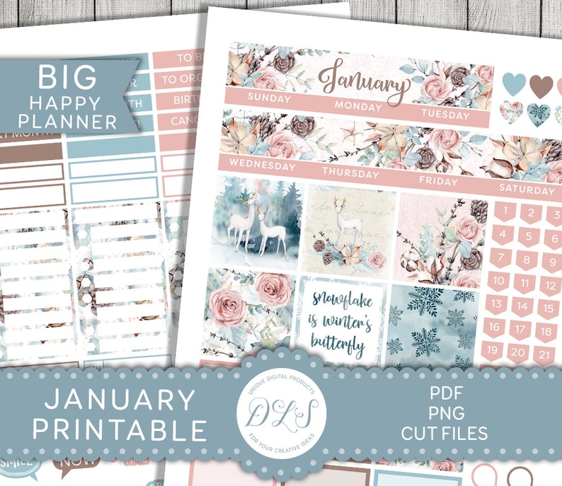 Printable JANUARY Monthly Stickers Kit Big Happy Planner - Etsy