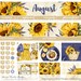 AUGUST Planner Stickers, August Monthly Planner Stickers, Erin Condren ...