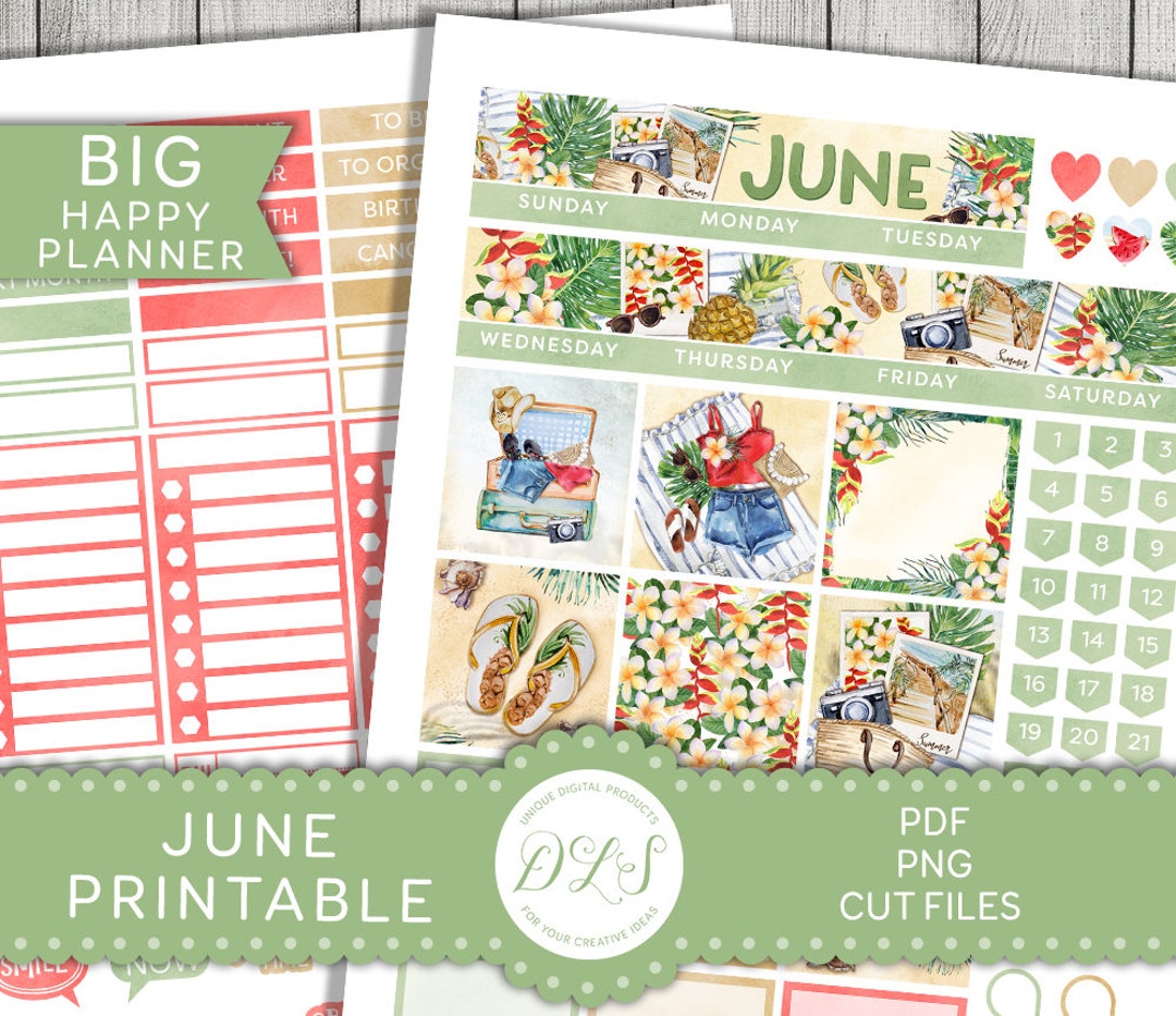 JUNE Monthly Stickers Kit, Big Happy Planner Printable Stickers, June ...
