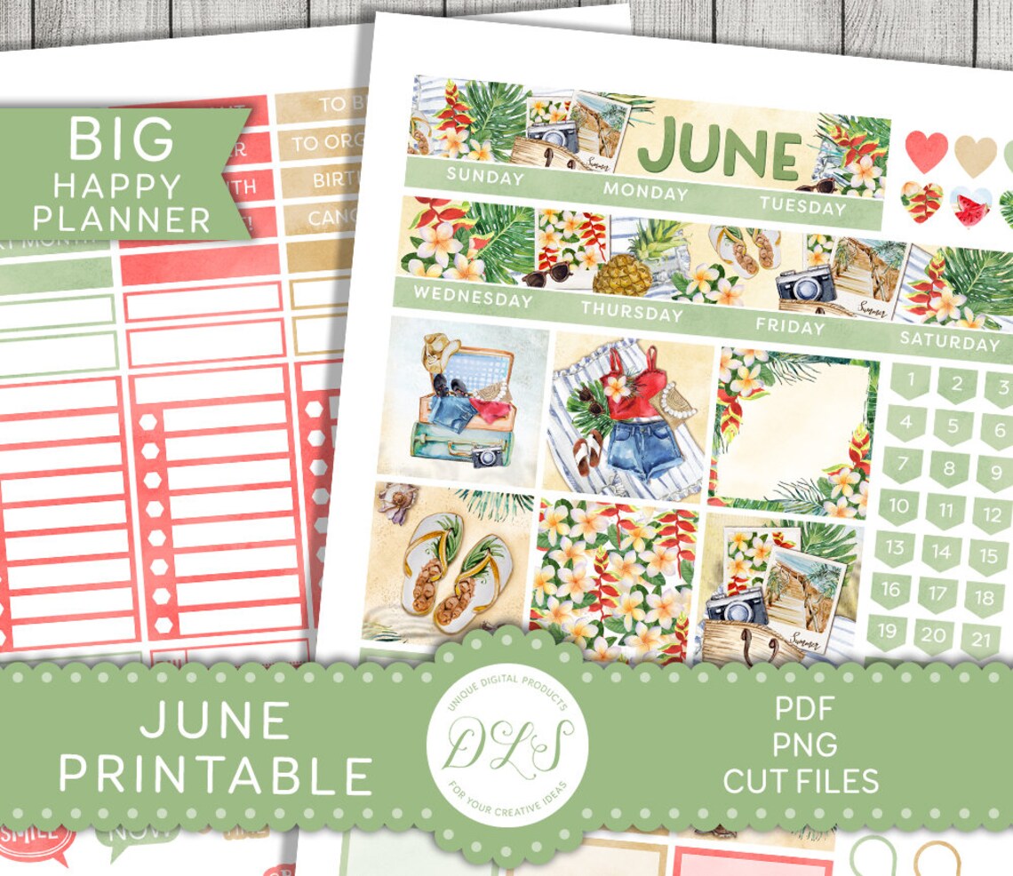 JUNE Monthly Stickers Kit, Big Happy Planner Printable Stickers, June ...
