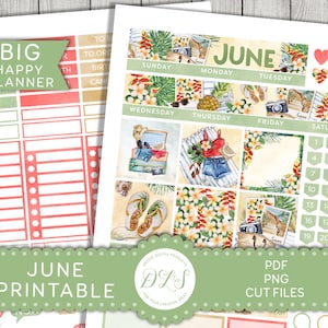 JUNE Monthly Stickers Kit, Big Happy Planner Printable Stickers, June ...