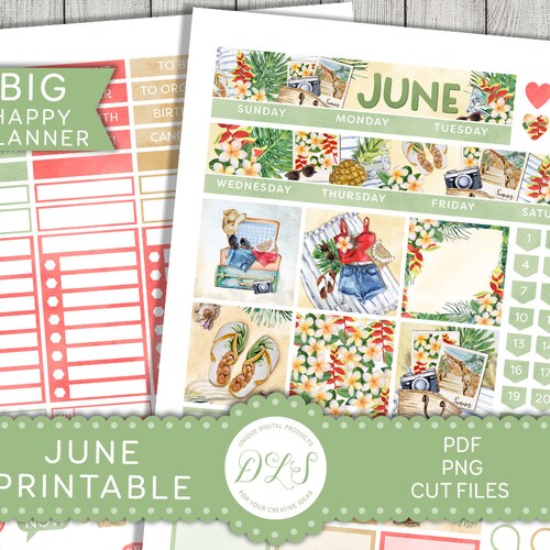 JUNE Monthly Stickers Kit Big Happy Planner Printable - Etsy