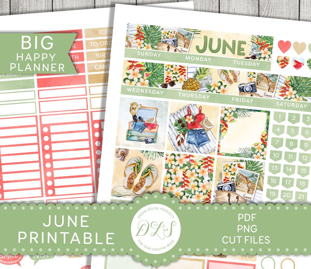JUNE Monthly Stickers Kit, Big Happy Planner Printable Stickers, June ...