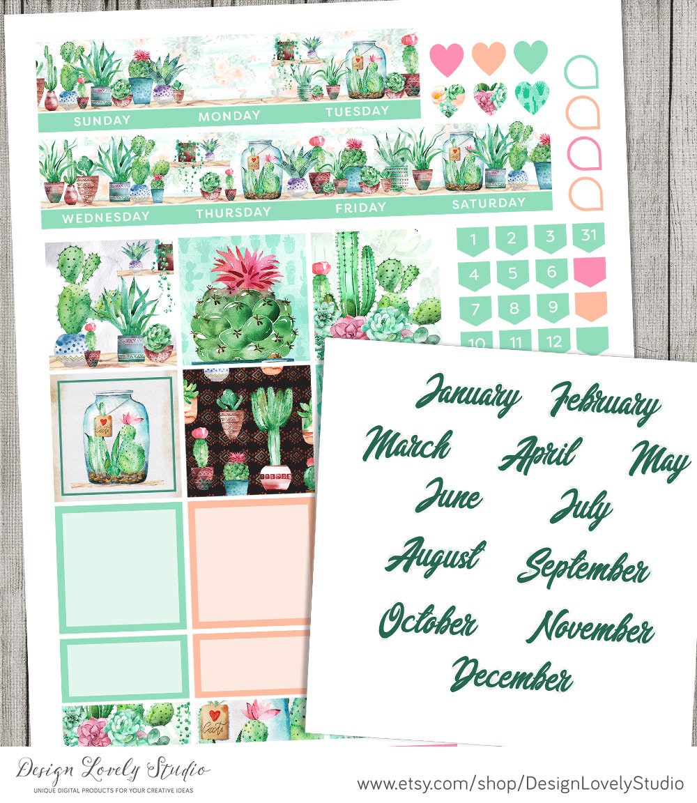 Printable CACTUS Monthly Planner Stickers Classic Happy - Etsy