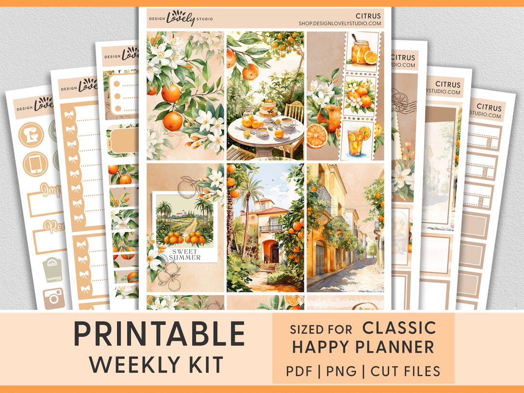 Printable Summer Planner Stickers, Orange, Vacation, Citrus, Fruit ...