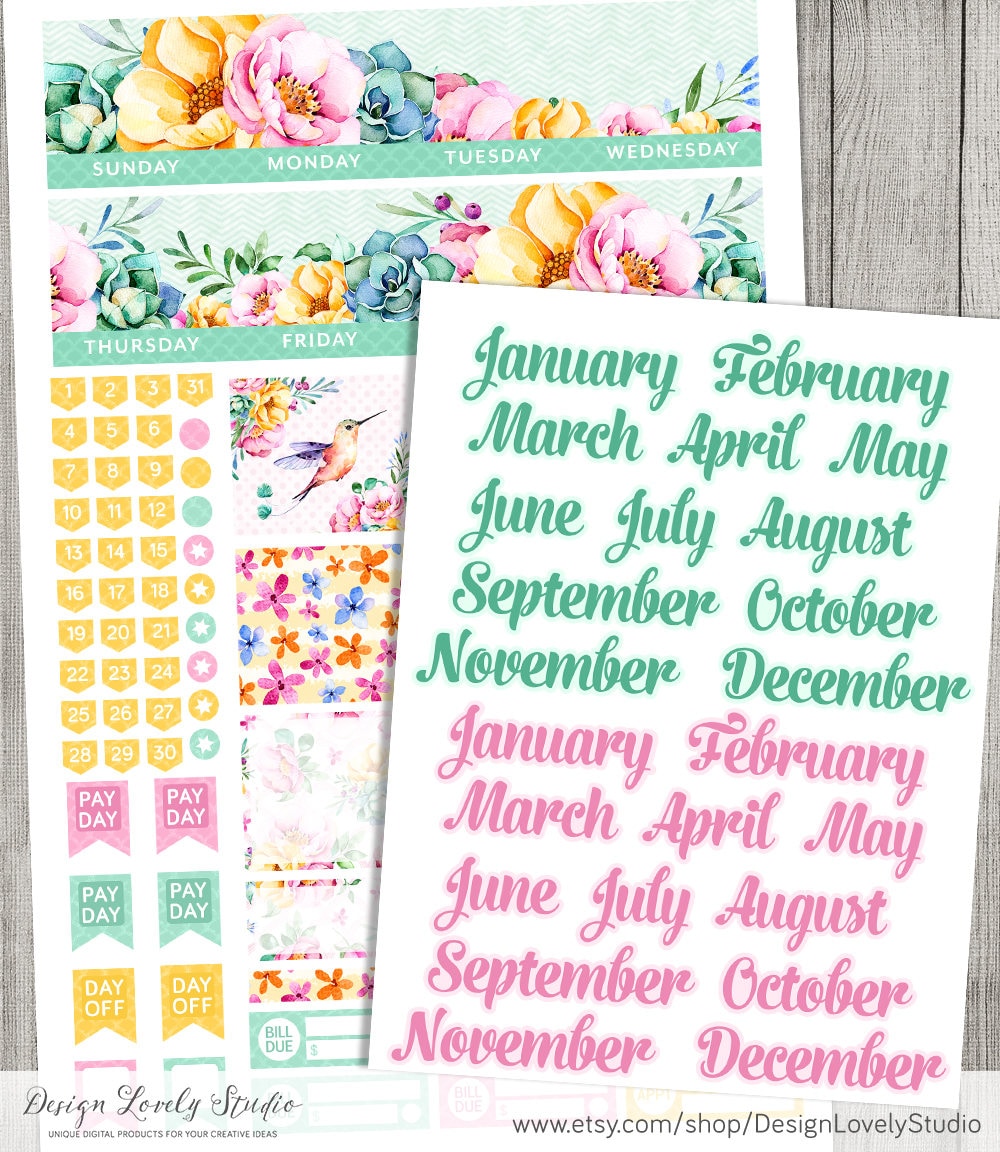 Monthly View Stickers Kit Monthly Planner Kit for Erin | Etsy