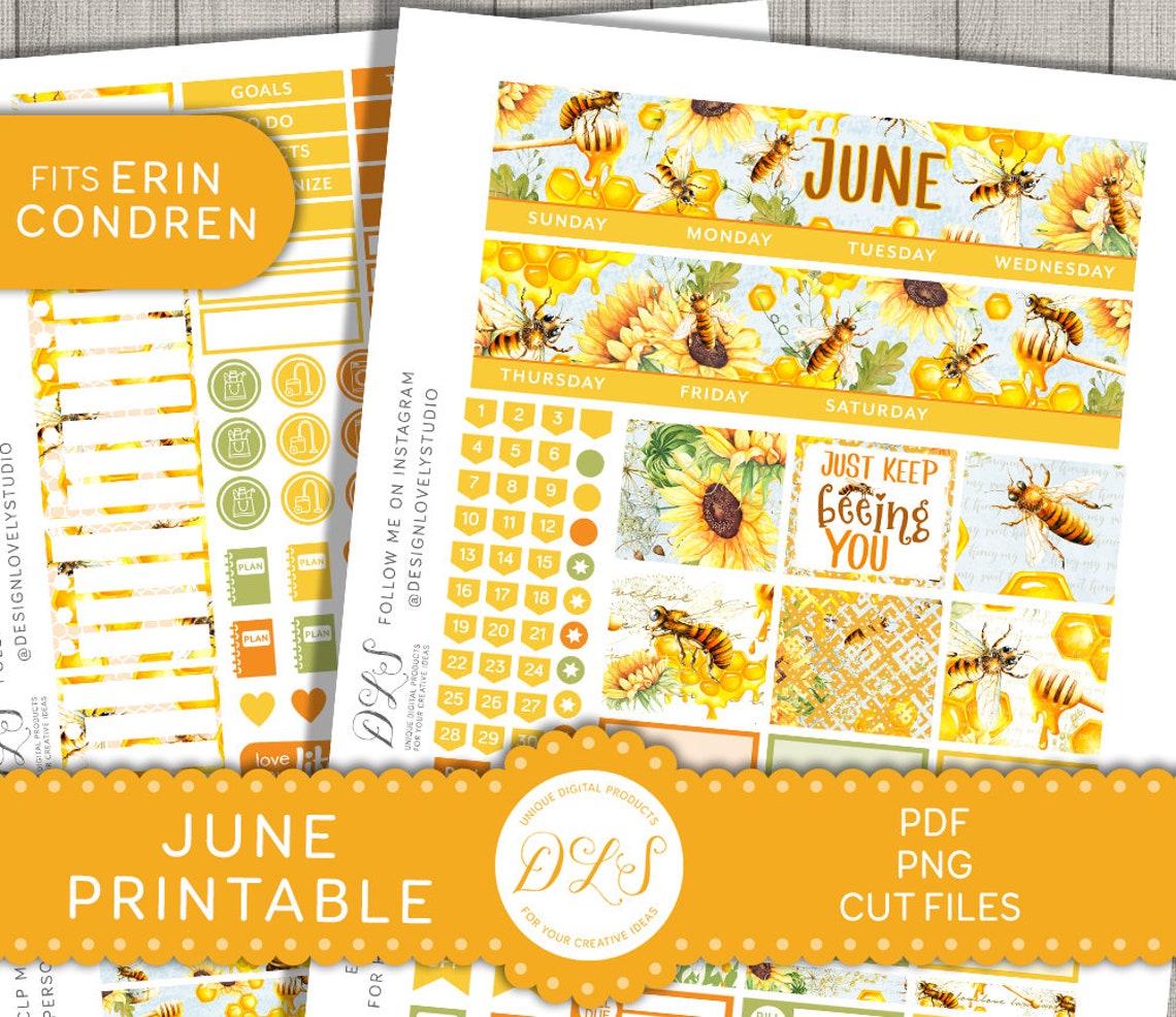 June PRINTABLE Planner Stickers Printable June Monthly - Etsy