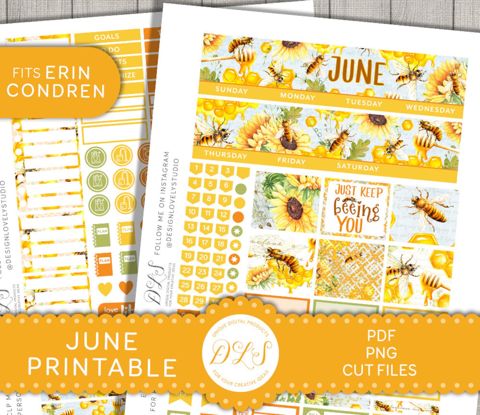 June PRINTABLE Planner Stickers Printable June Monthly - Etsy