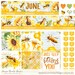 Happy Planner JUNE Monthly Kit, Printable June Monthly Stickers Kit ...