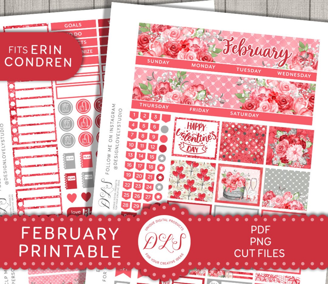Printable February Monthly Kit, Valentines Day Planner Stickers, EC ...