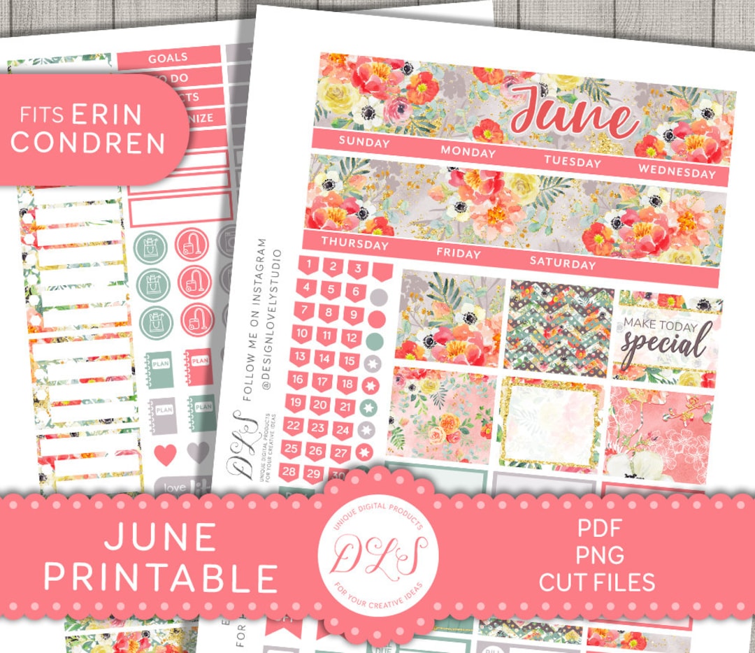 JUNE Printable Planner Stickers, Fits Erin Condren Life Planner ...