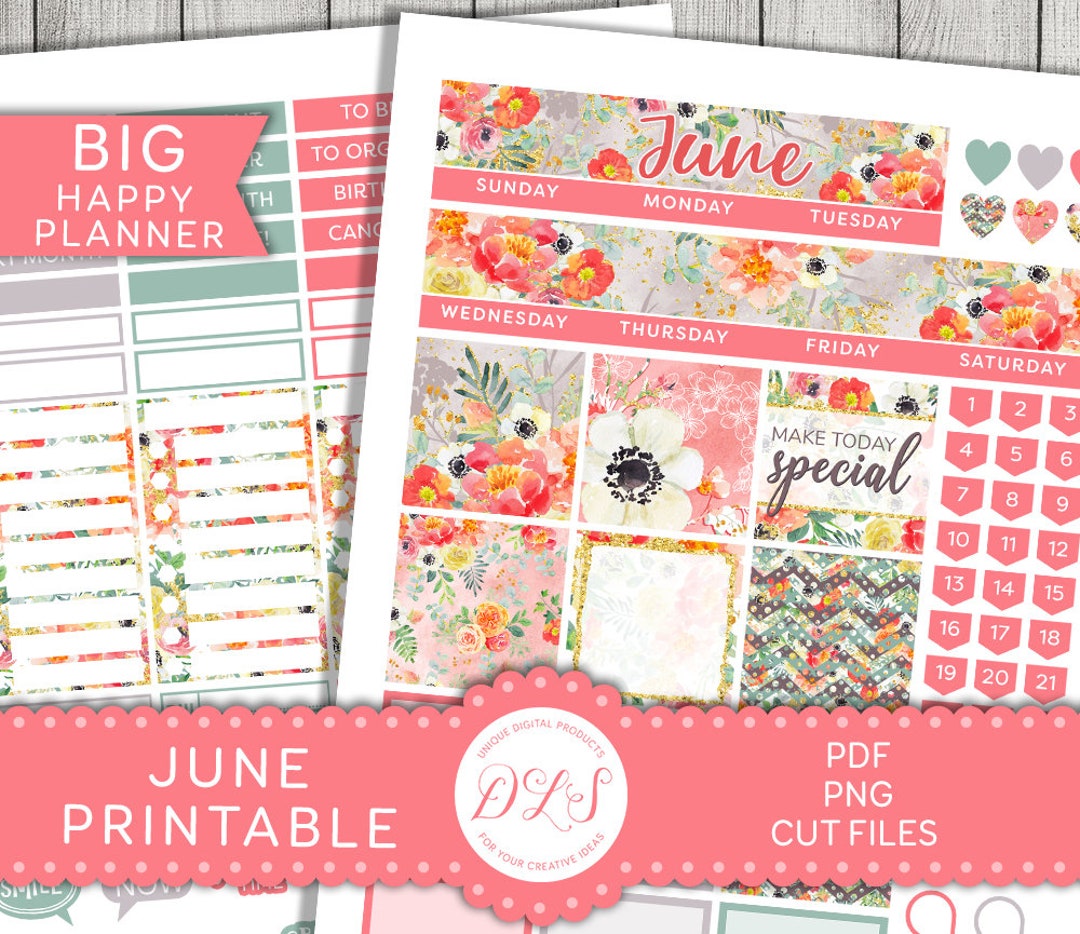 Printable JUNE Planner Stickers, Big Happy Planner Monthly Printable ...