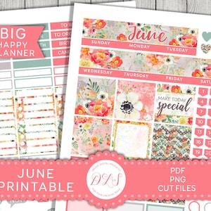 Printable JUNE Planner Stickers, Big Happy Planner Monthly Printable ...