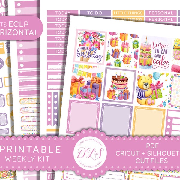 Birthday Planner Stickers - Etsy