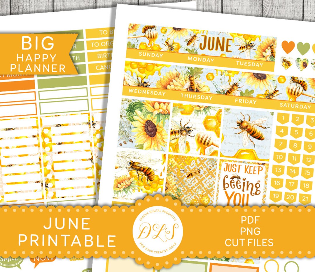 Big Happy Planner JUNE Stickers Kit, JUNE Monthly Printable Stickers ...