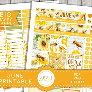 Big Happy Planner JUNE Stickers Kit, JUNE Monthly Printable Stickers ...