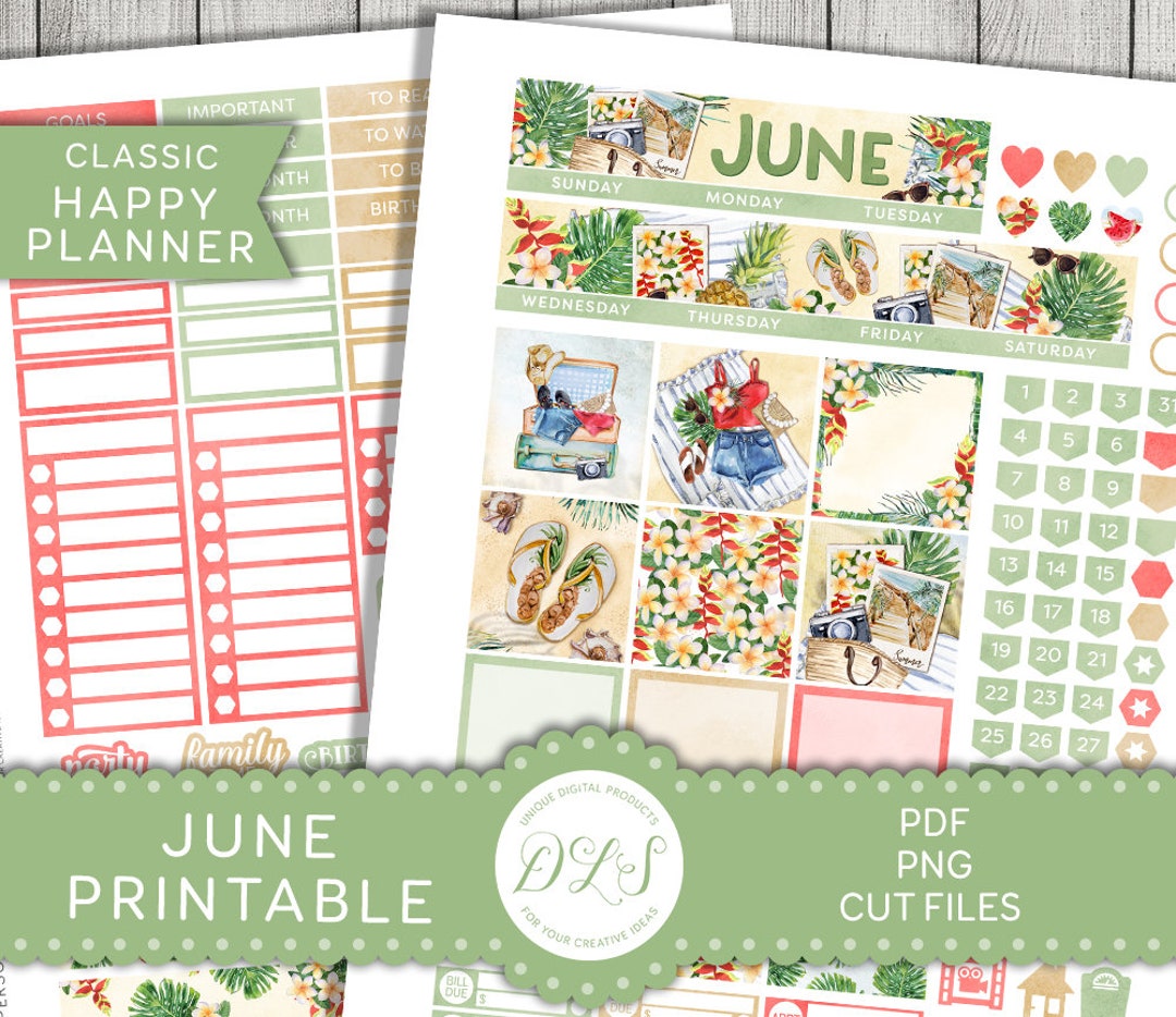 JUNE Planner Stickers, June Planner Printable, Happy Planner Printable ...