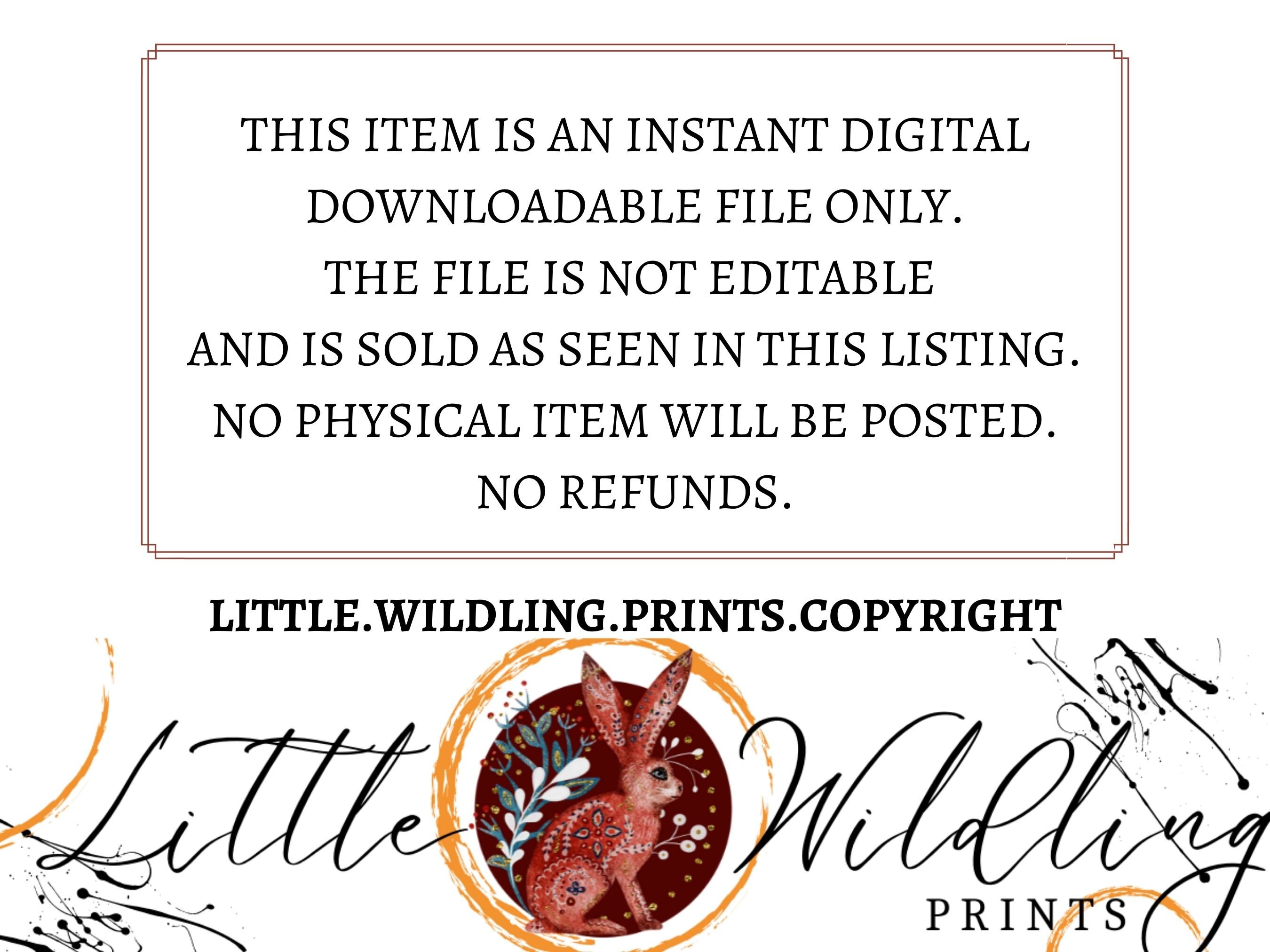 Mardi Gras Gnome Truck Bulletin Board Let the Good Times Roll - Etsy