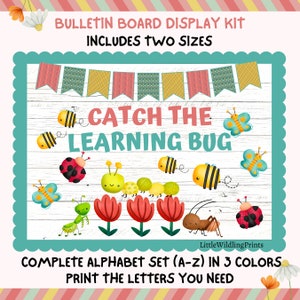 Bugs Insects Bulletin Board Kit, Spring Summer Learning Bug Class Decor ...