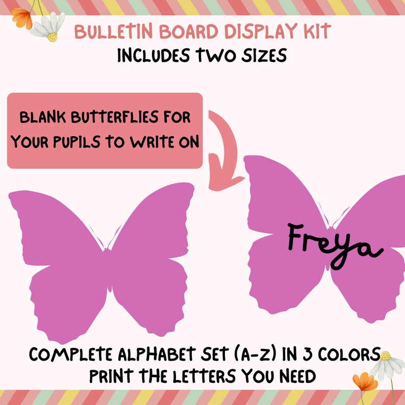 Summer Butterflies Bulletin Board Kit End of Year Bulletin - Etsy