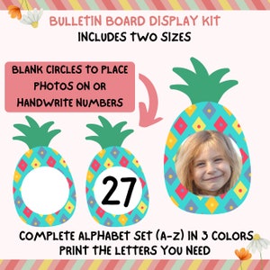 Sweet Summer Countdown Bulletin Board Kit, End of Year Pineapple ...