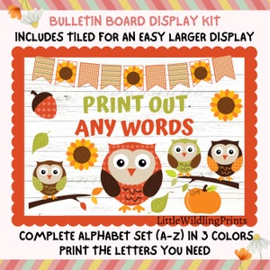 Reading Owls Bulletin Board Kit, Books Library Wise Owl Fall Theme ...