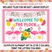 Flamingo Bulletin Board Kit, Back to School Flock Tropical Bird Sweet ...