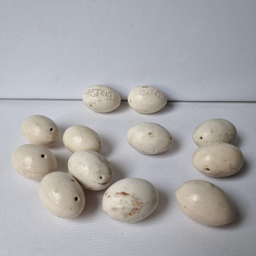 CAPERNS / Wedgwood Bird Seed Dummy Broody Hens Eggs Quail Chicken ...
