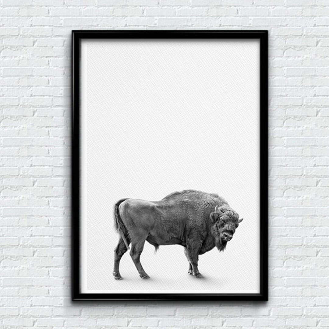 Buffalo Print, Bison Wall Art, Black and White Buffalo, Modern Minimal ...