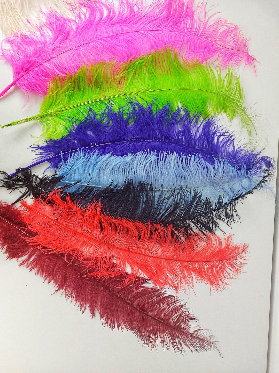 The 5 Ostrich Feathers Available in 8 Colors - Etsy
