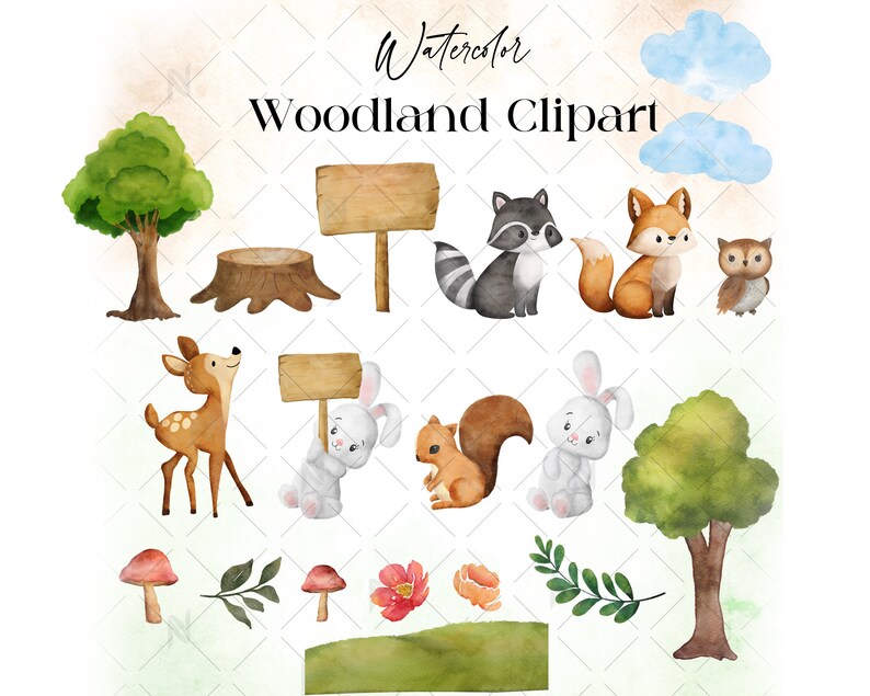 Cute Woodland Animals Clipart Watercolor Woodland Animals Set of 17 PNG ...