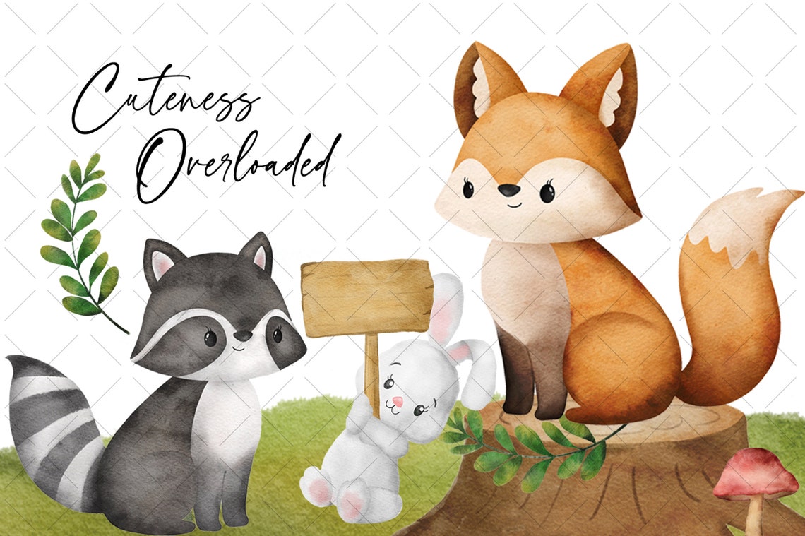 Cute Woodland Animals Clipart Watercolor Woodland Animals Set of 17 PNG ...
