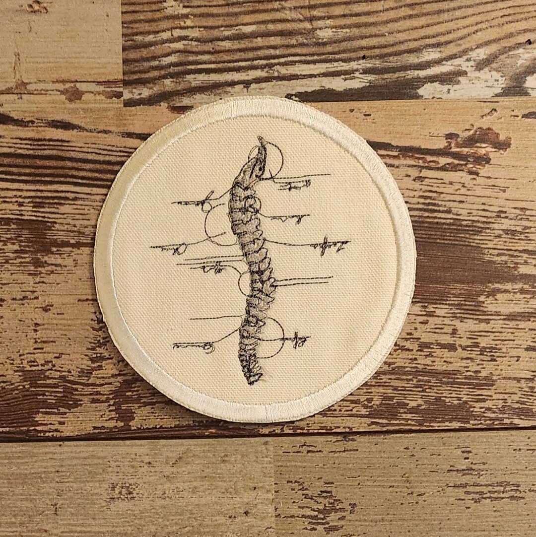 Anatomical Spine, Iron on Patch, Sew on Patch, Embroidery, Patch ...