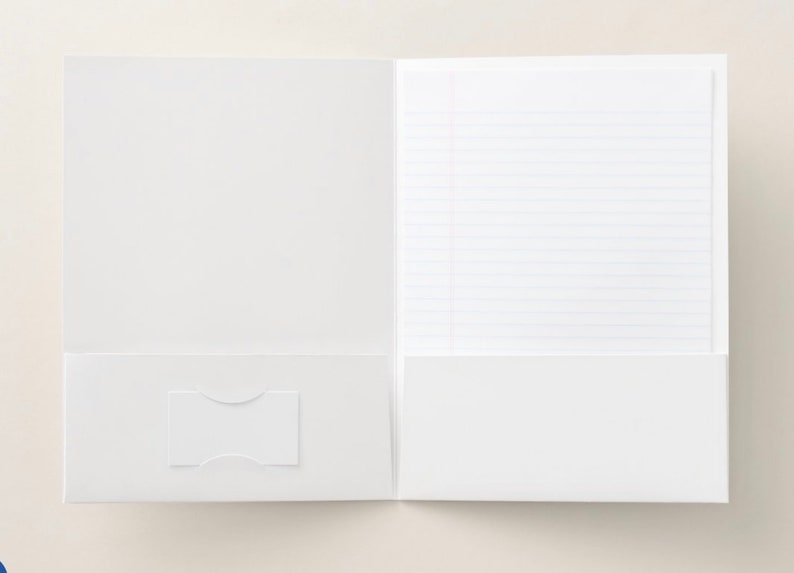 Illustrated Dragon and Phoenix 2 Pocket Folder - Etsy