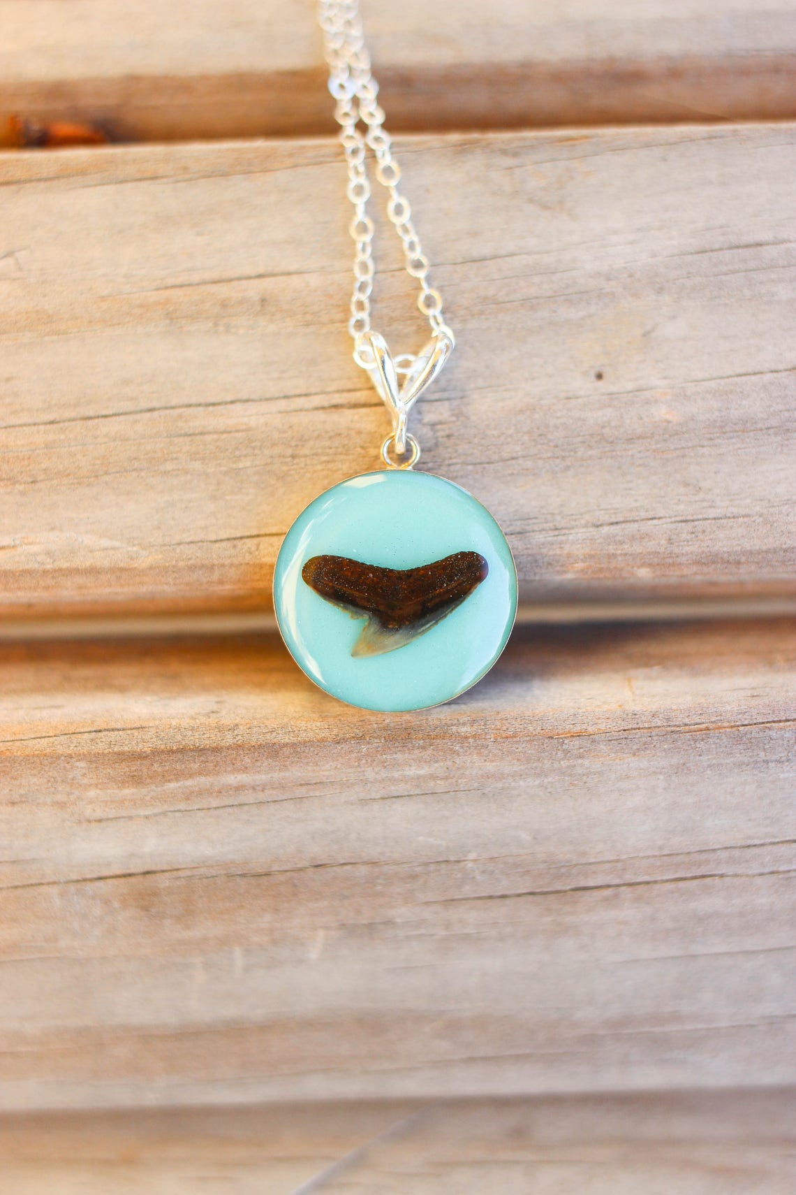 Shark Tooth Necklace - Shark Tooth Jewelry - Genuine Shark Tooth ...