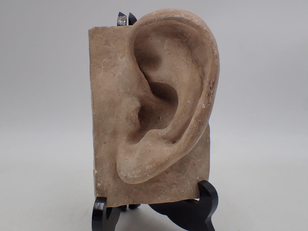 Vintage Plaster Ear Sculpture - Etsy