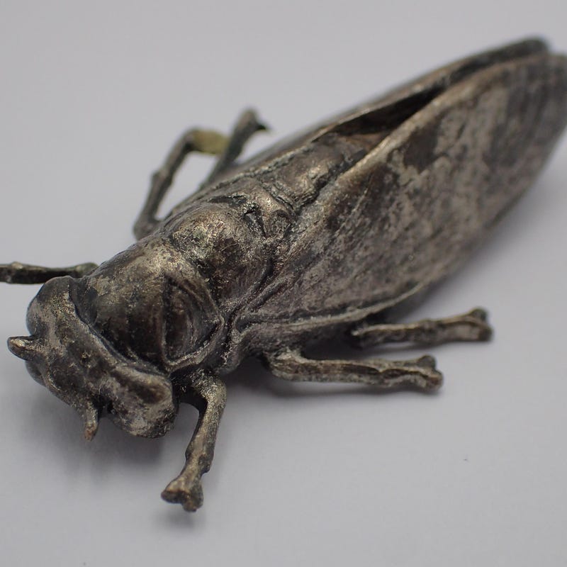 Cicada Brooch - Etsy