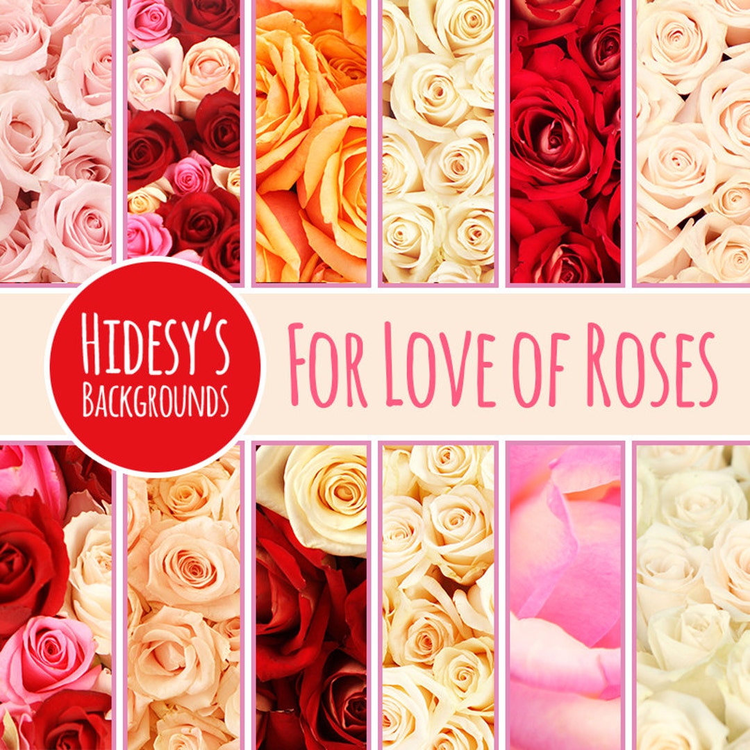 Rose Photos Digital Paper / Background / Pattern for LOVE OF Roses - Etsy