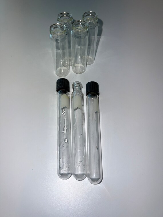 Vintage Glass Vials Mini Bottles Test Tubes - Etsy