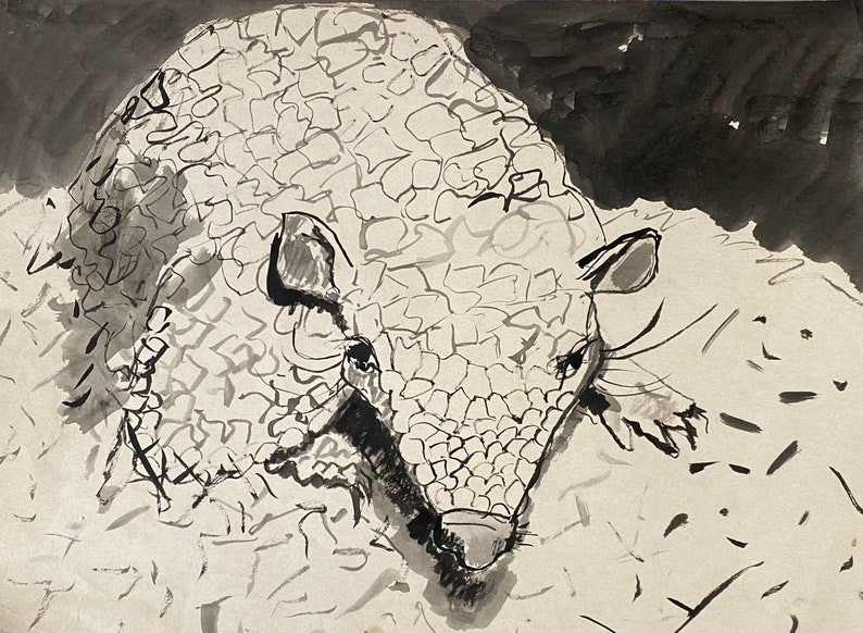 Armadillo Drawing Giclée Print - Etsy