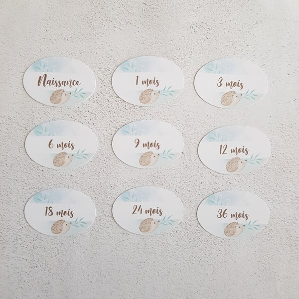 Photo Album Labels - Etsy