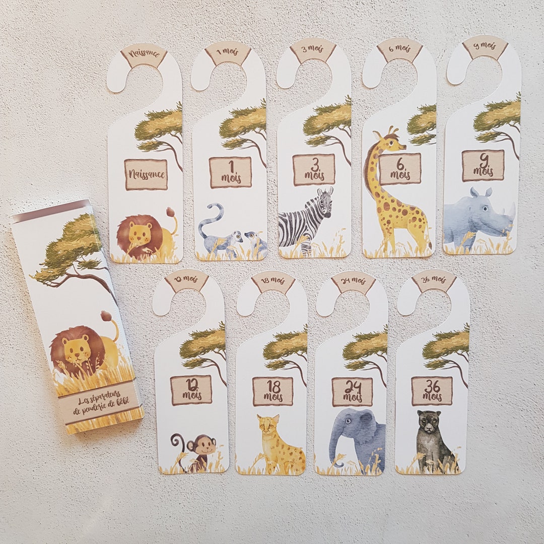 9 Baby Closet Dividers and Its Savannah Animals Theme Box - Etsy